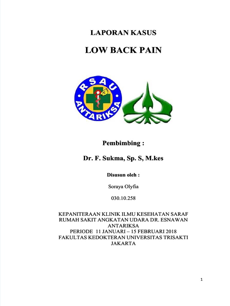 PDF Lapsus LBP Compress 2 | PDF