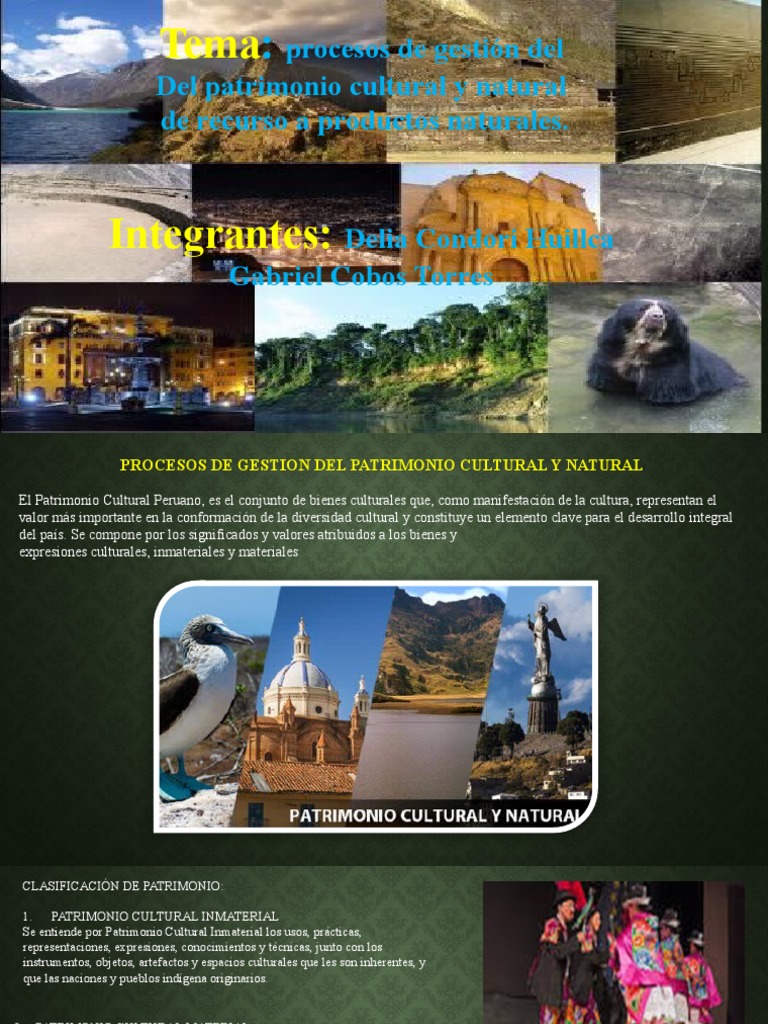 Procesos de Gestion Del Patrimonio | PDF | Patrimonio cultural