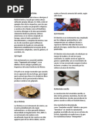 Significado de "Ayotl" en Náhuatl | PDF