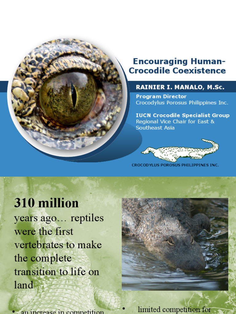 Encouraging Human Croc & Coexistence | PDF | Crocodilians | Predators