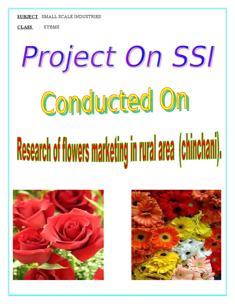 SSI Project Overview and Paint Options | PDF