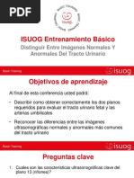 Medidas y Posiciones del Útero en Ecografía | PDF | Ultrasonido médico ...