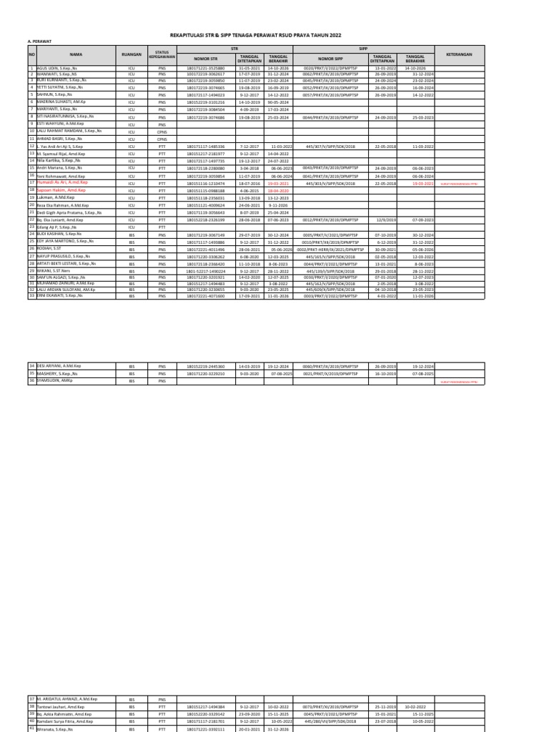 Revisi Rekapitulasi Sipp & Sipb Perawat & Bidan 2022 | PDF