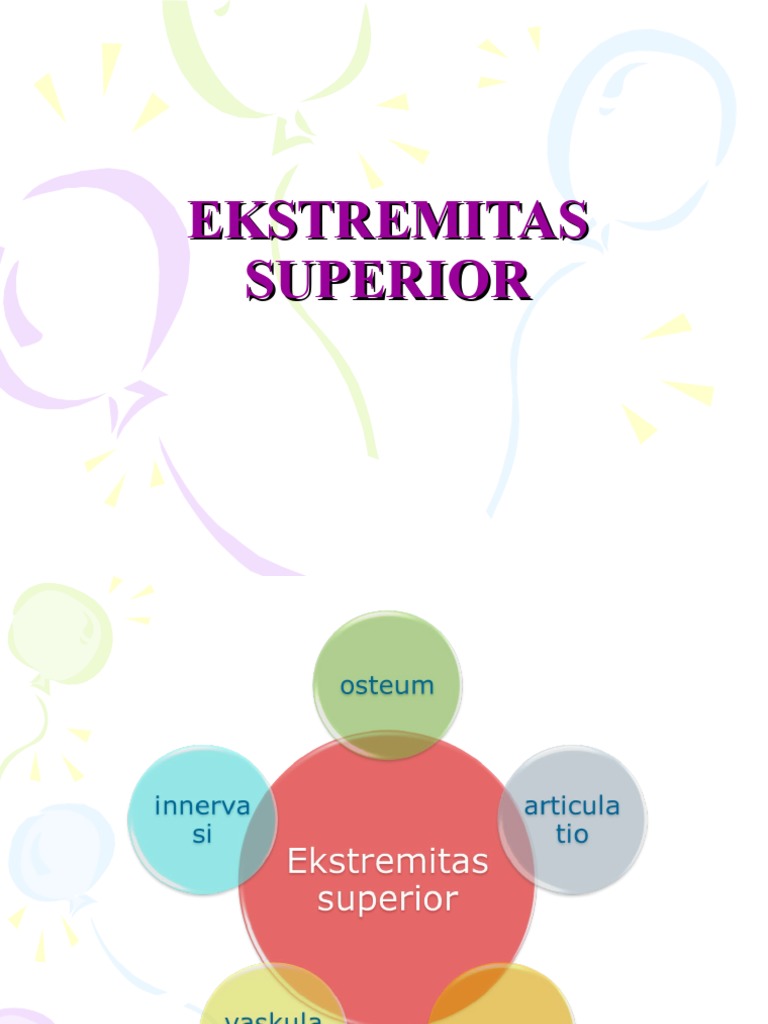 K2 - Osteologi Extremitas Superior | PDF