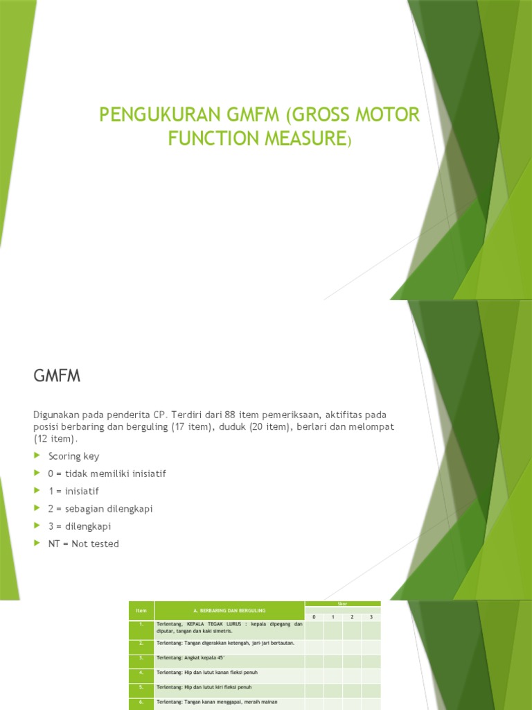 Pengukuran GMFM (Gross Motor Fungsional Measure) | PDF