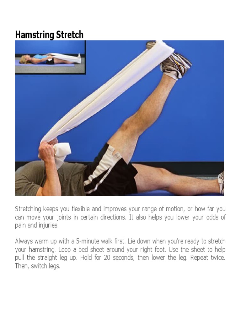 Hamstring Stretch | PDF | Foot | Knee