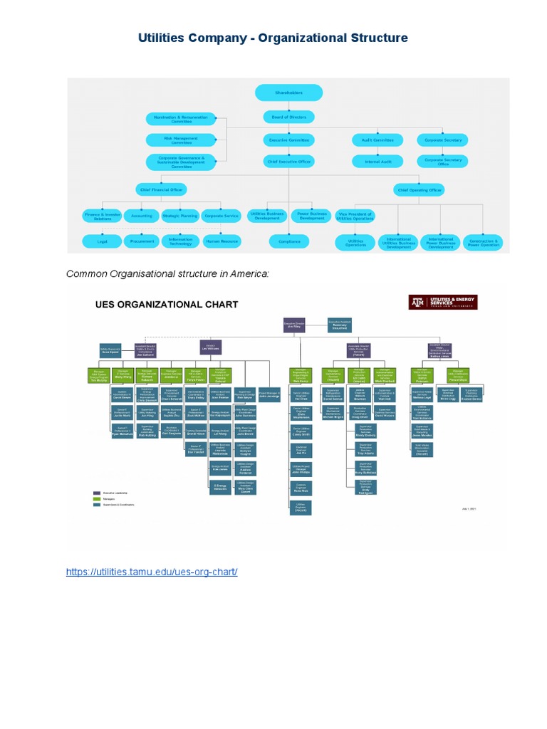 Utilities Company - Organizational Structure | PDF