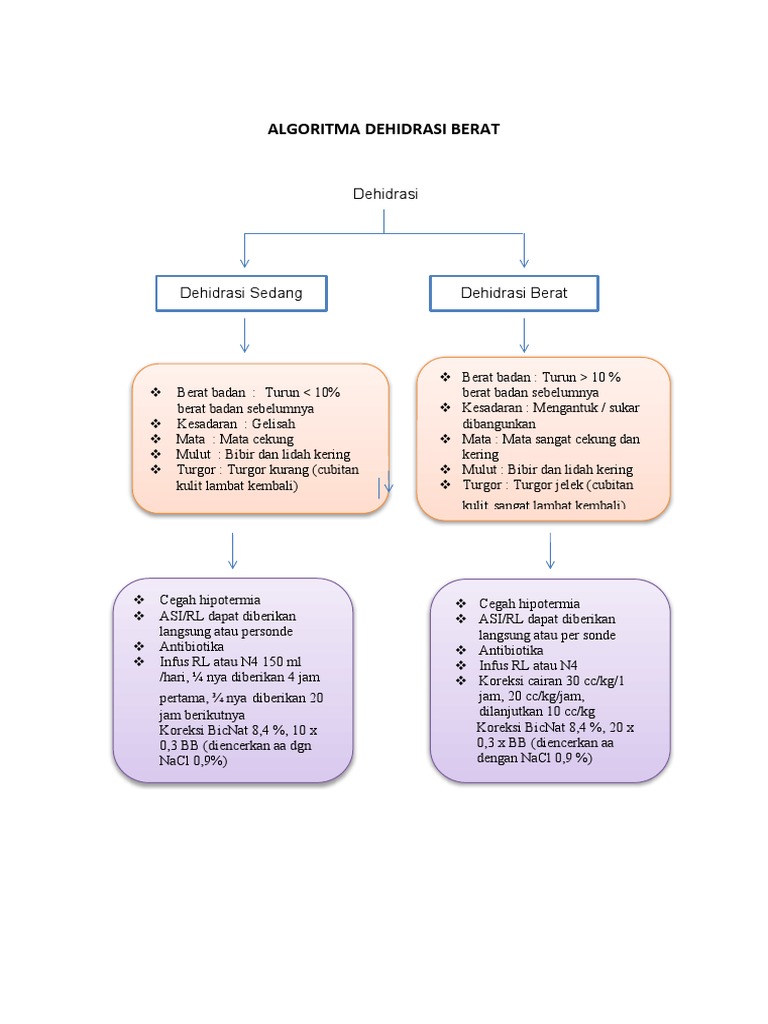 Algoritma Dehidrasi Berat | PDF | Kesehatan Holistik