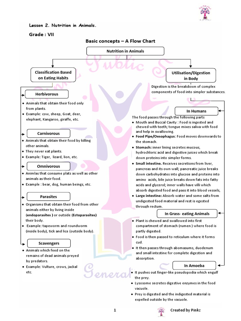 Grade: VII Basic Concepts - A Flow Chart: Lesson 2. Nutrition in ...
