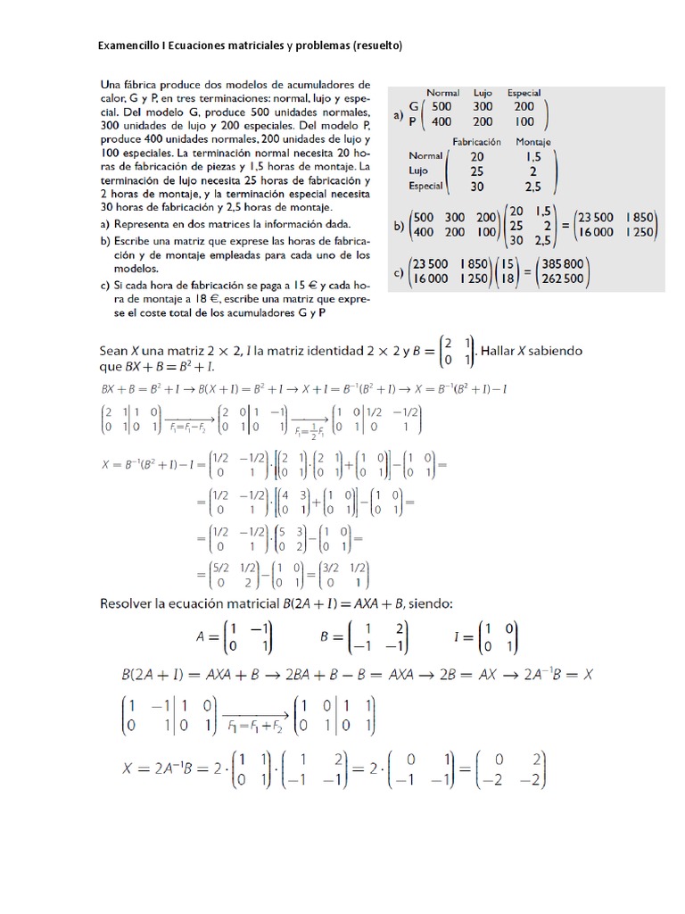 Examencillo I Ecuaciones Matriciales y Problemas (Resuelto) | PDF