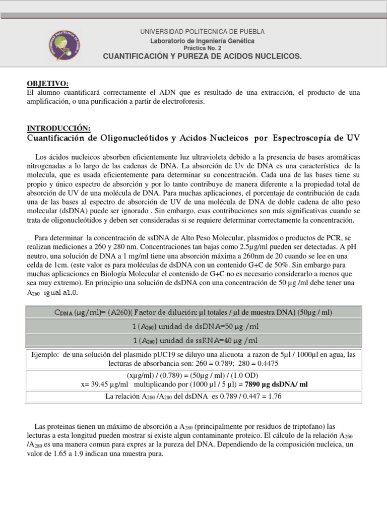 Práctica 2-Cuantificación de ADN | PDF
