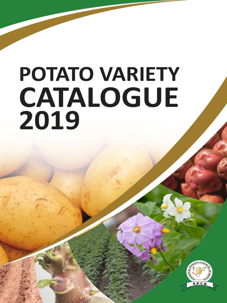 2019 Potato Variety Catalogue Kenya | PDF | Potato | Agriculture