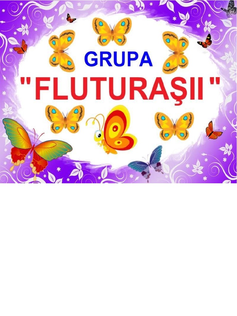 Grupa Fluturasii | PDF