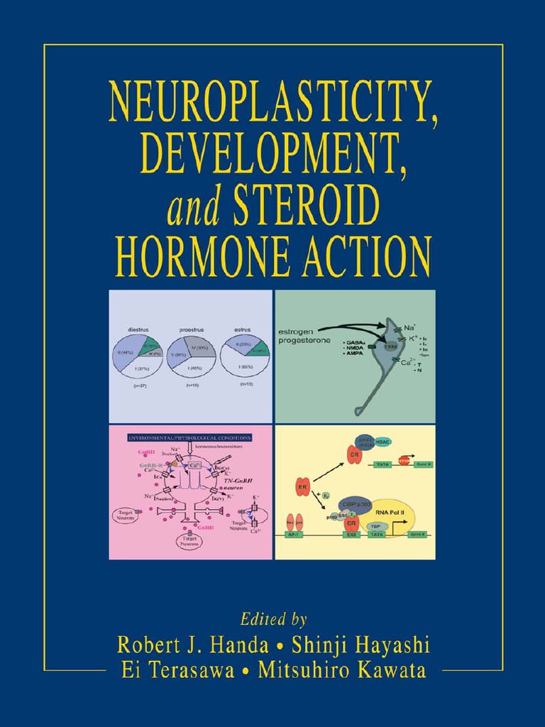 Neuroplasticity Development and Steroid Hormone Action Compress | PDF ...