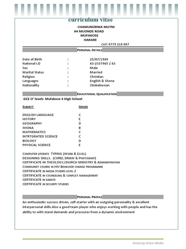 Zimbabwe CV Format Example | PDF | Zimbabwe