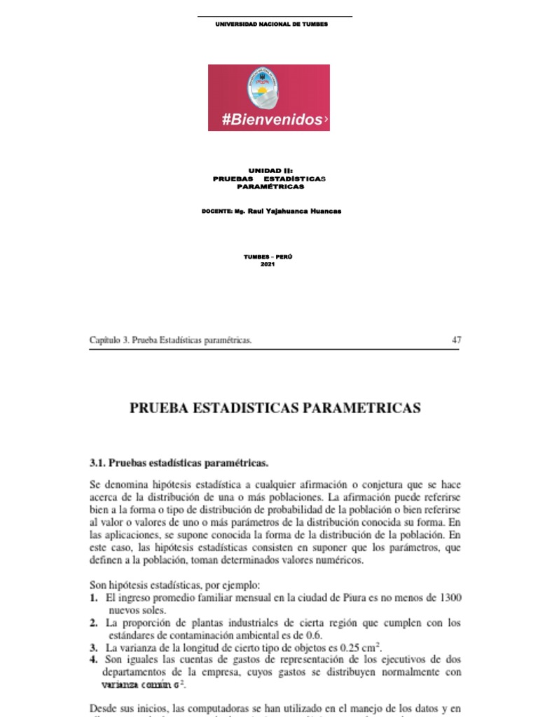 Pruebas Estadística Parámetrica | PDF | Errores tipo I y tipo Ii ...