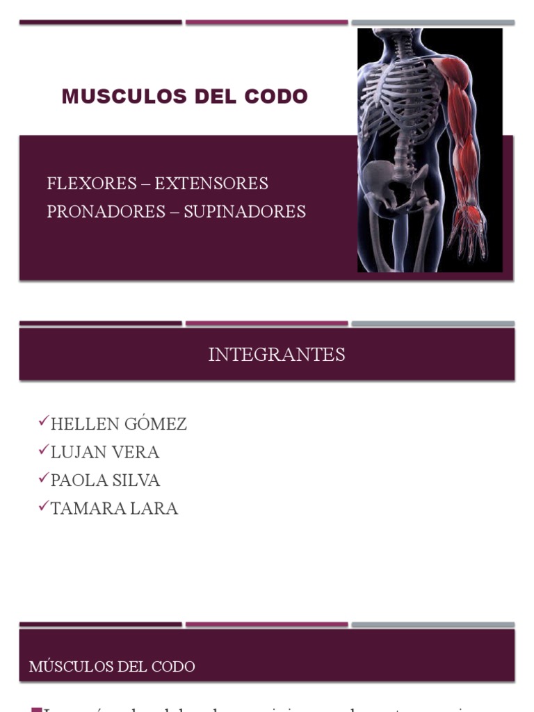 Musculos Del Codo - Biomecánica | PDF | Codo | Mano