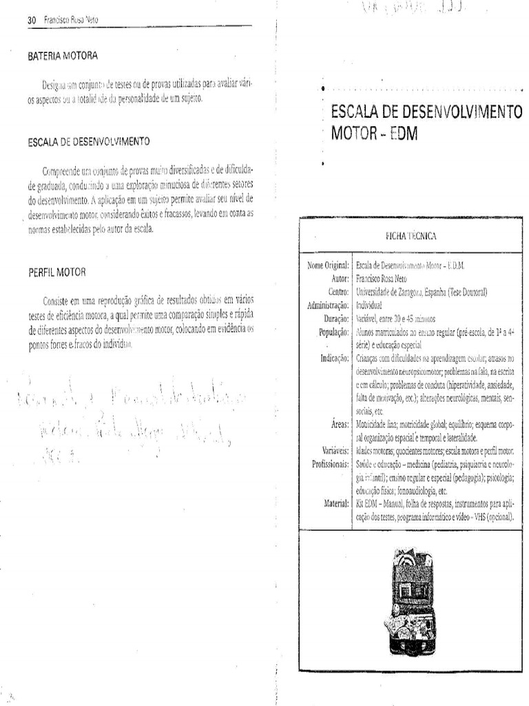 Avaliação Motora Rosa Neto Manual | PDF
