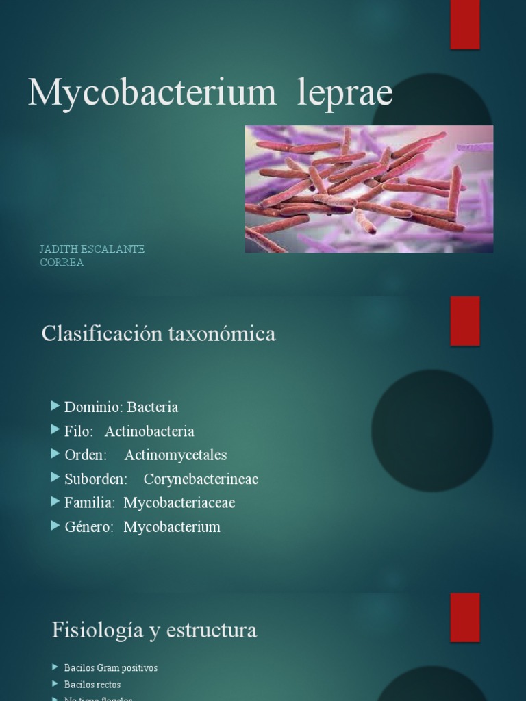 Mycobacterium Leprae | PDF | Mycobacterium | Sistema inmune