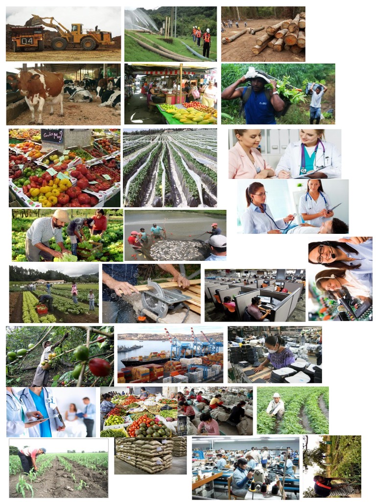 22 Collage Productividad Desarrollo | PDF