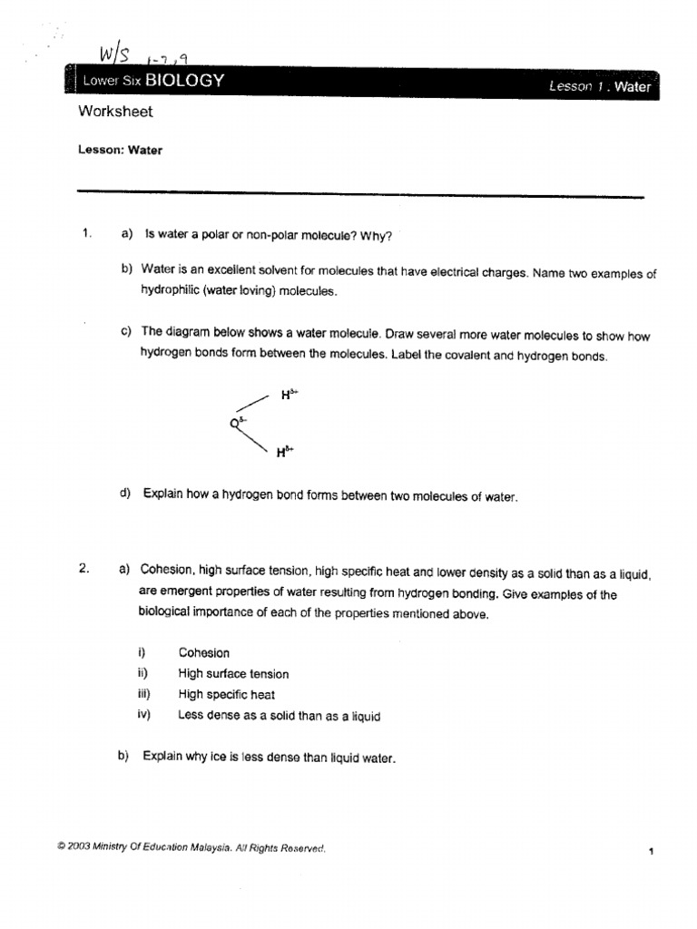 Biology Tutorial (Set 1) | PDF | Properties Of Water | Solution