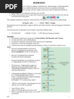 Grade 9 Photosynthesis | PDF | Leaf | Photosynthesis