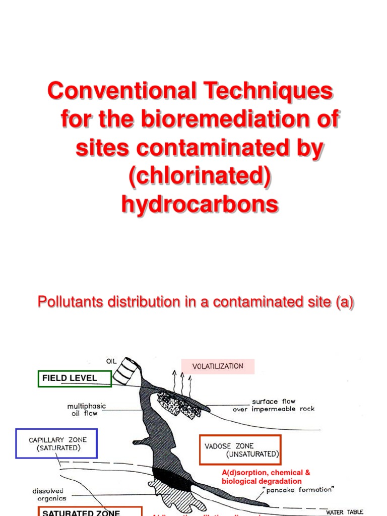 Bioremediation Techniques and Their Perpectives | PDF | Environmental Remediation | Soil