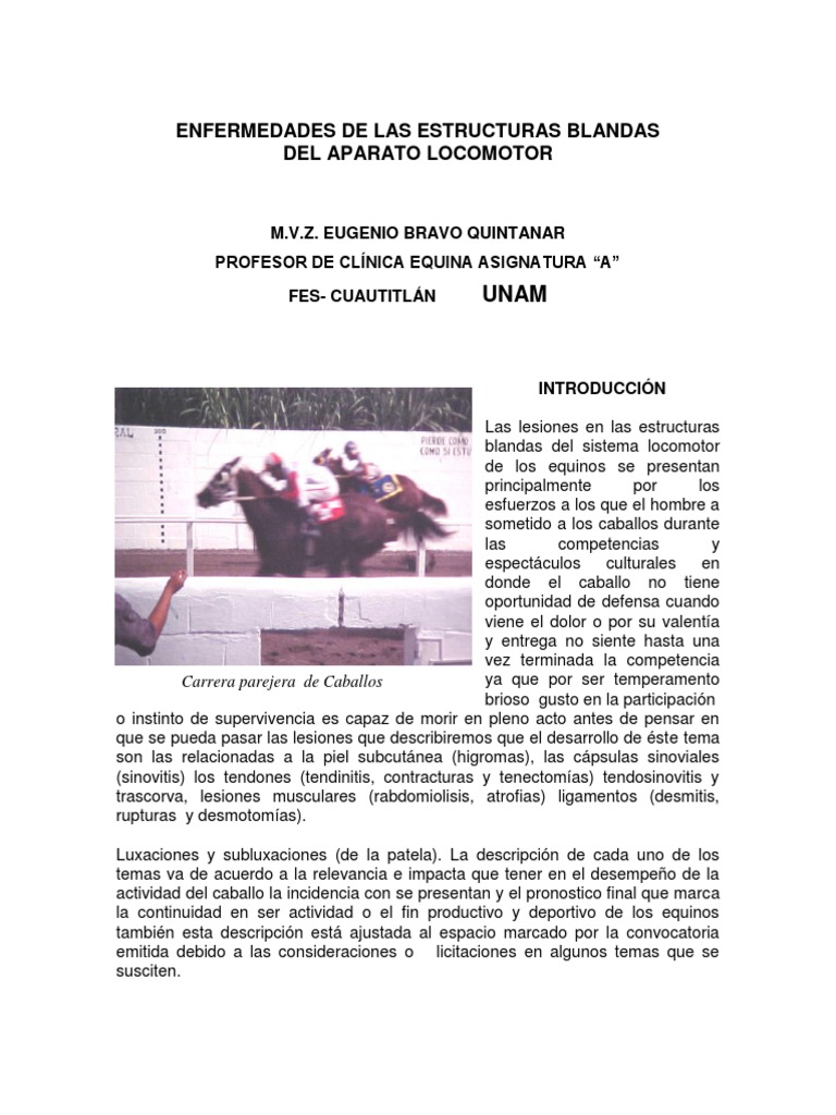 Tratamiento de Tendinitis en Equinos | PDF | Rodilla | Caballos