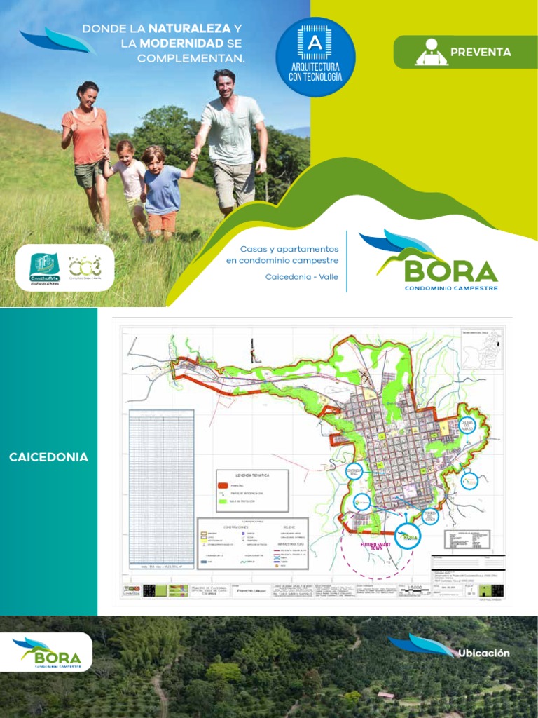 Presentación Bora | PDF