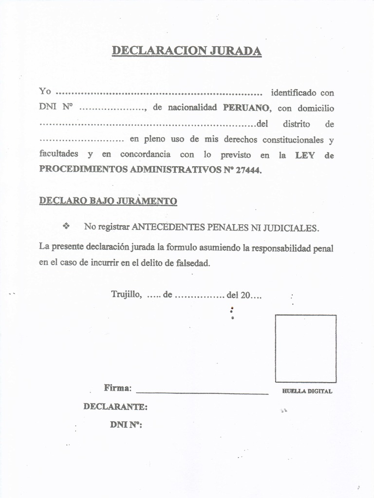 Formato de Antecedentes Penales y Judiciales | PDF