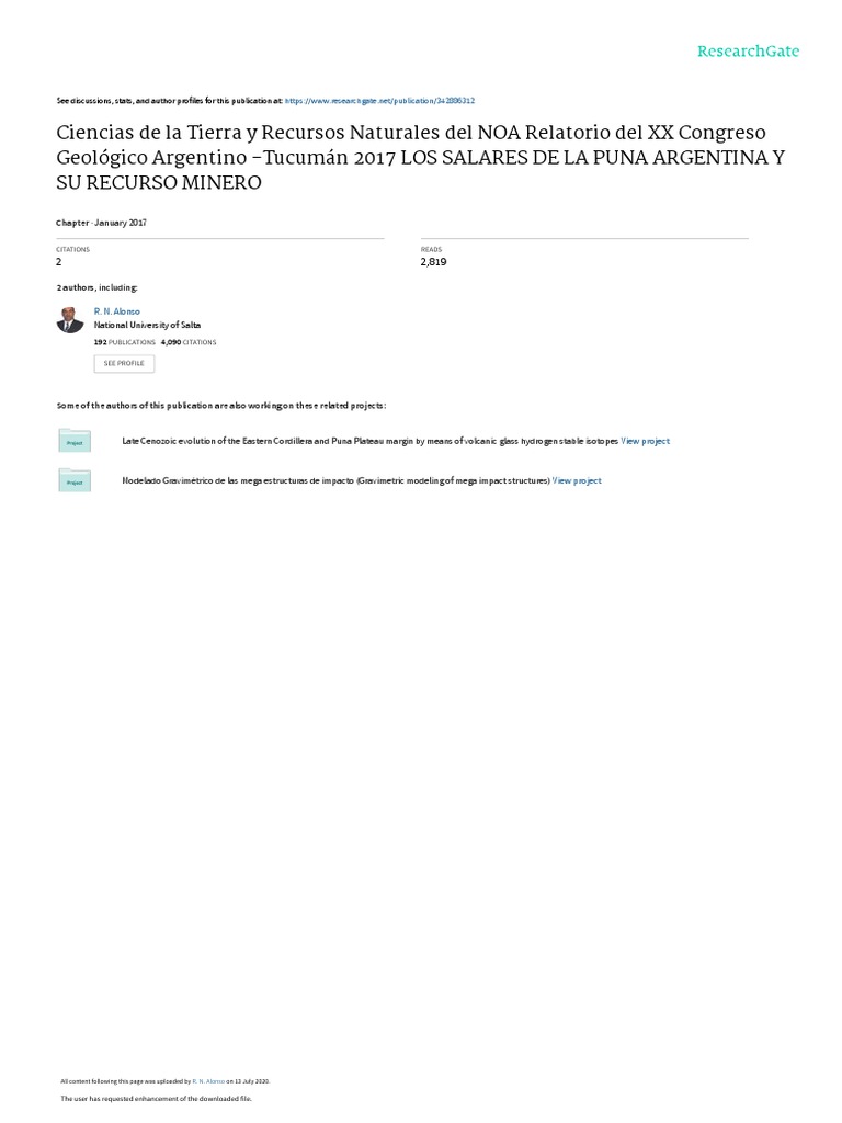 Alonso Salares Puna | PDF | Andes | Roca (geología)