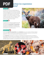 Competencia Intraespecífica - Interespecífica. | PDF | Depredación ...