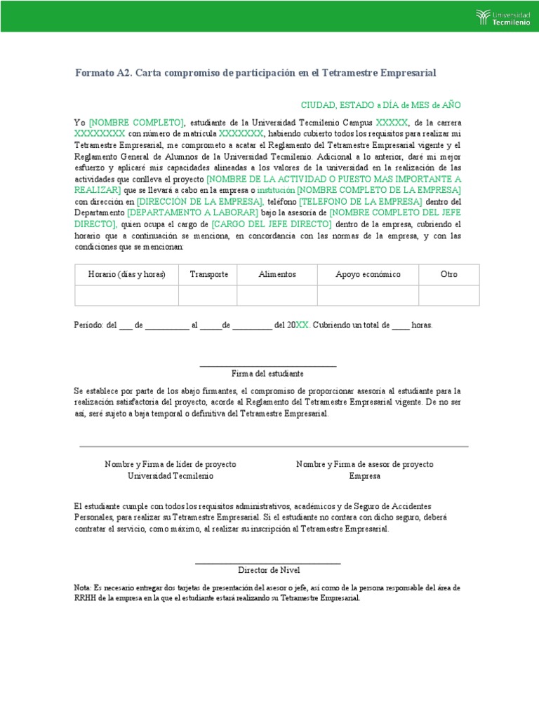 Formato A2 | PDF | Business | Economias