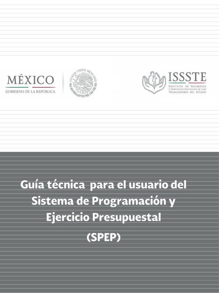 Guía Técnica del Sistema SPEP | PDF | Usuario (informática) | Seguridad