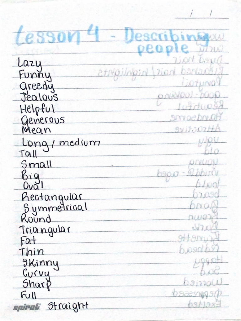 Lesson 4 - Describing People | PDF