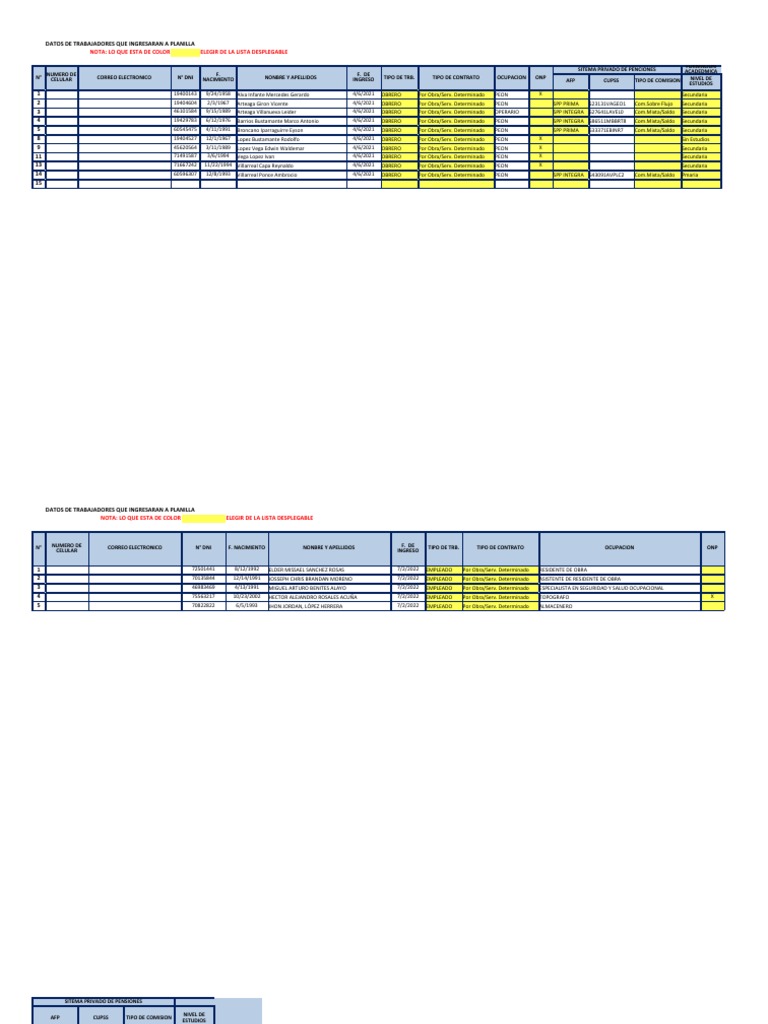 Planilla de Trabajadores - Datos | PDF