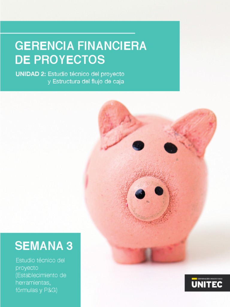 LS3 GerFin U2S3 | PDF | Presupuesto | Business