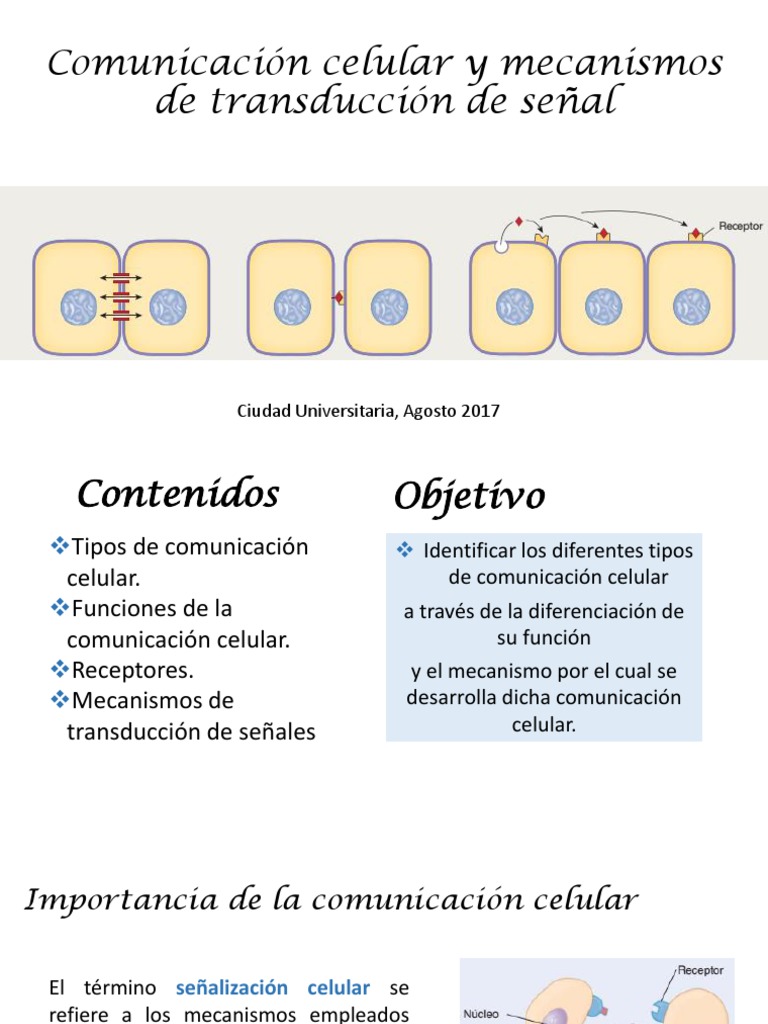 Comunicacion Celular y Mecanismos de Transduccion de Senal - Estudiante | PDF | Señal telefónica ...