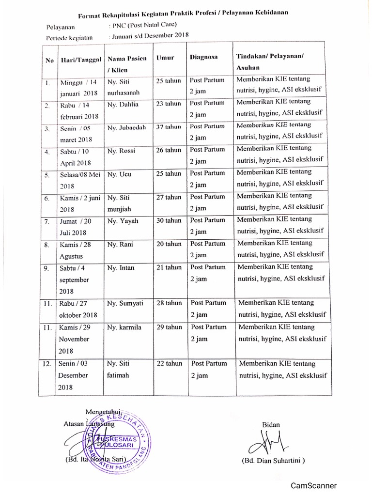 Bukti Pelayanan PNC SKP Ibi | PDF