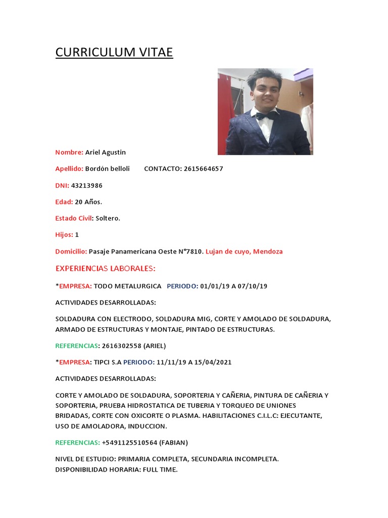 CURRICULUM VITAE BORDON AGUSTIN | PDF