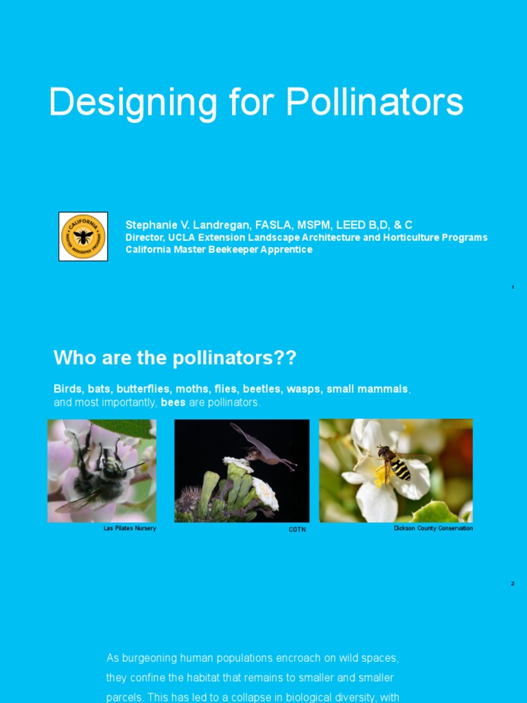 Designing For Pollinators | PDF | Bees | Pollinators