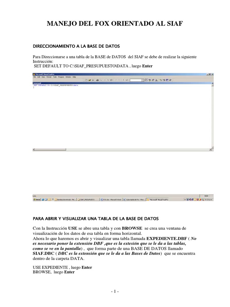 Sesion 4 - Soporte Siaf | PDF | Archivo de computadora | Programa de computadora