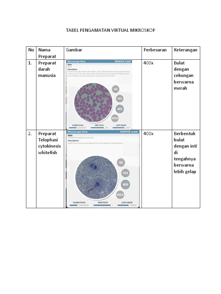 Tabel Pengamatan Virtual Mikroskop | PDF