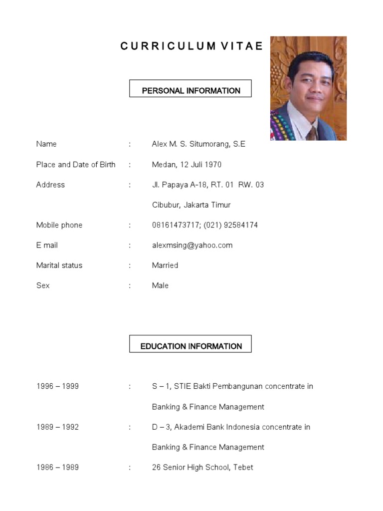CV Alex | PDF