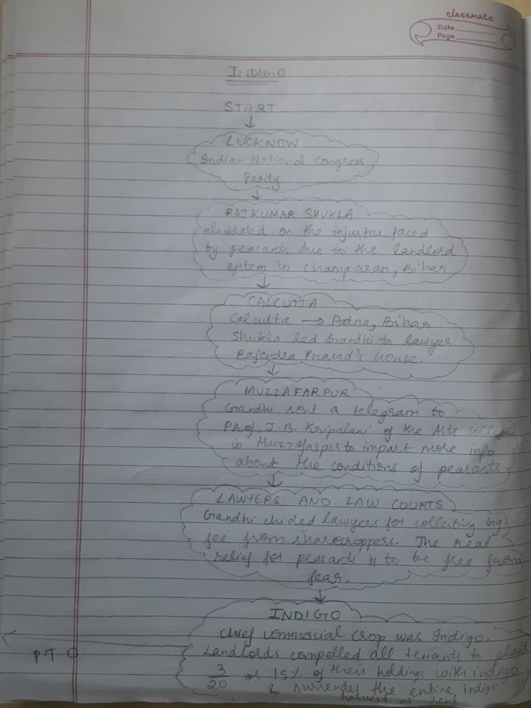 Indigo Mind Map | PDF