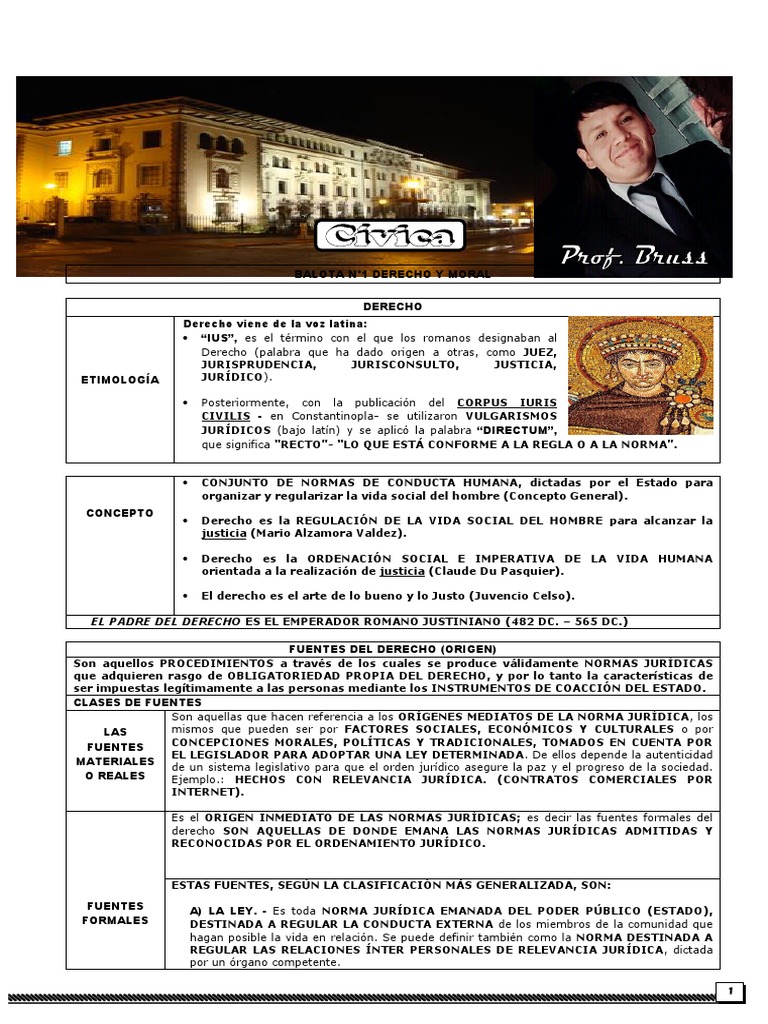 Librito Del Bichoto - Civica | PDF | Justicia | Crimen y violencia