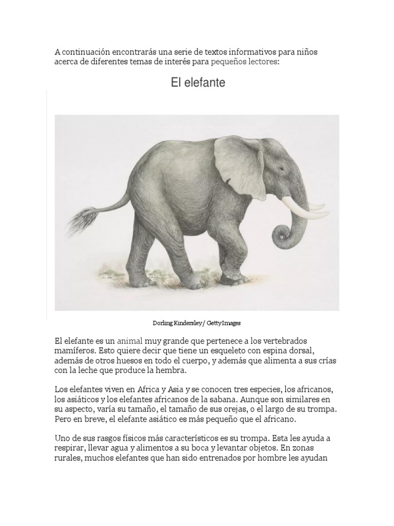 Textos Informativos para Niños Acerca de Diferentes Temas de Interés ...