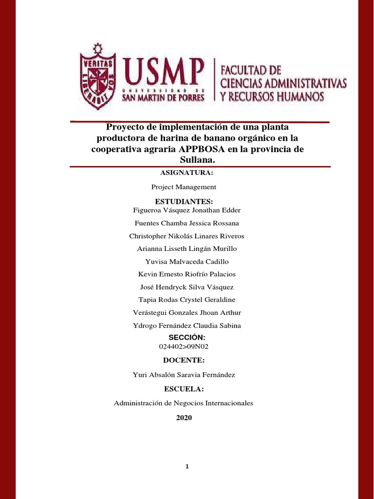 Proyecto - Cuarta Entrega | PDF | Presupuesto | Fibra dietética