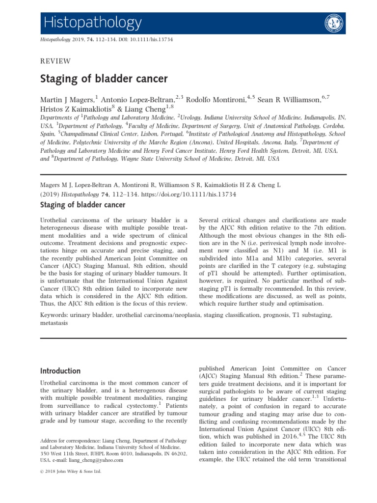 Staging of Bladder Cancer: Review | PDF | Metastasis | Carcinoma