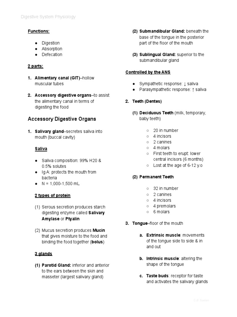 Digestive System Reviewer | PDF | Stomach | Digestion